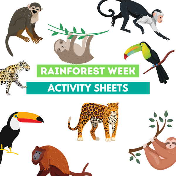 ACTIVITY SHEETS: Rainforest Week – Craft Box Girls
