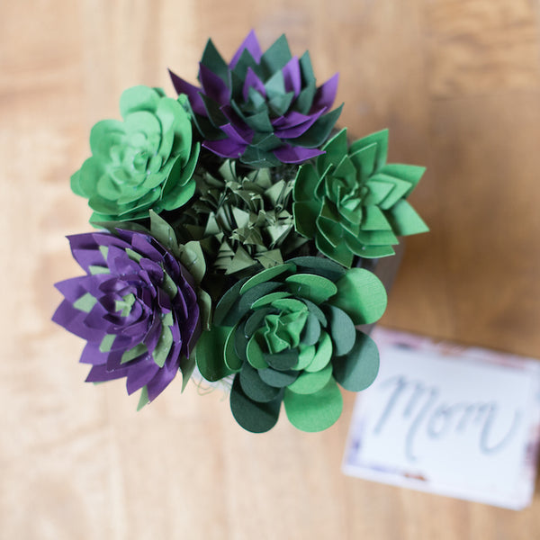 DIY Paper Succulent Planter – Craft Box Girls