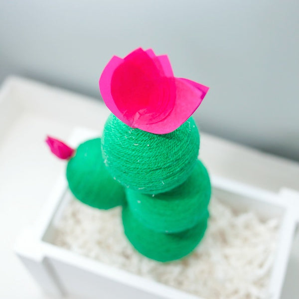Yarn Cactus Box – Craft Box Girls